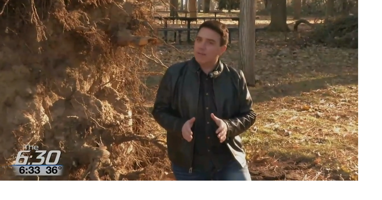 Winter wind storm damages trees in Spokane parks | Spokane News | khq.com