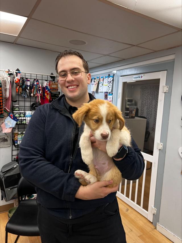 SpokAnimal promotes adoption ahead of National Rescue Dog Day | Spokane ...