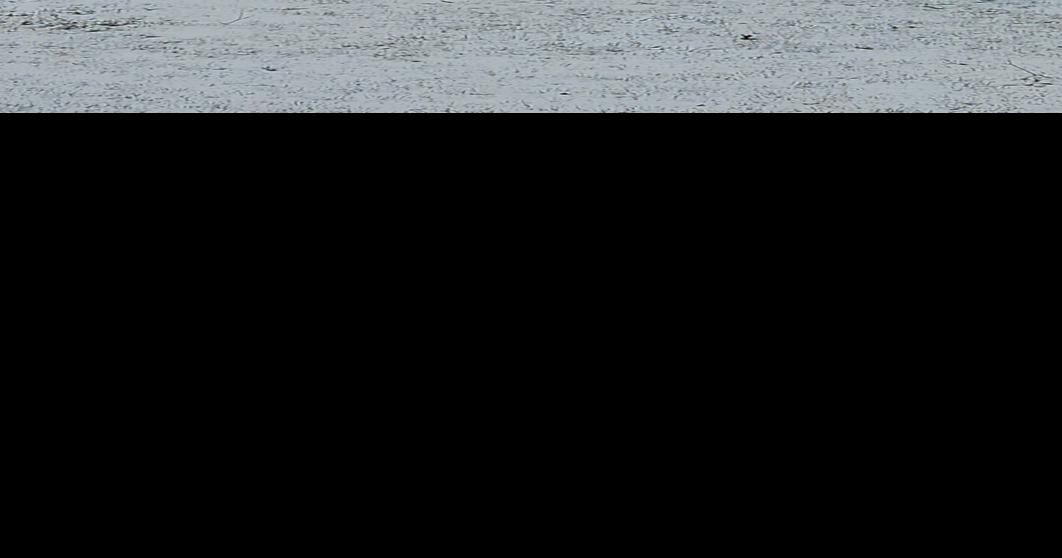 Spokane firefighters investigate detached garage fire near Garland ...