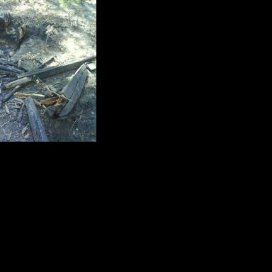 Tracy Berg releases statement regarding cause of Valley View fire ...