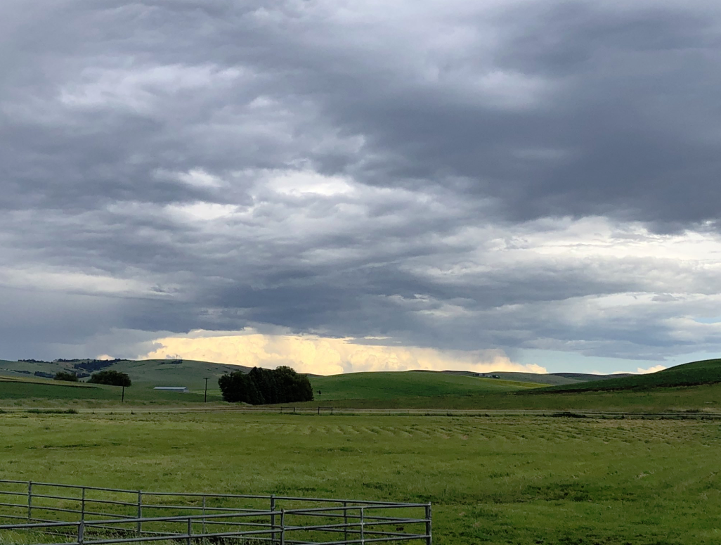 PHOTOS: Thunderstorms move into Inland Northwest | News | khq.com