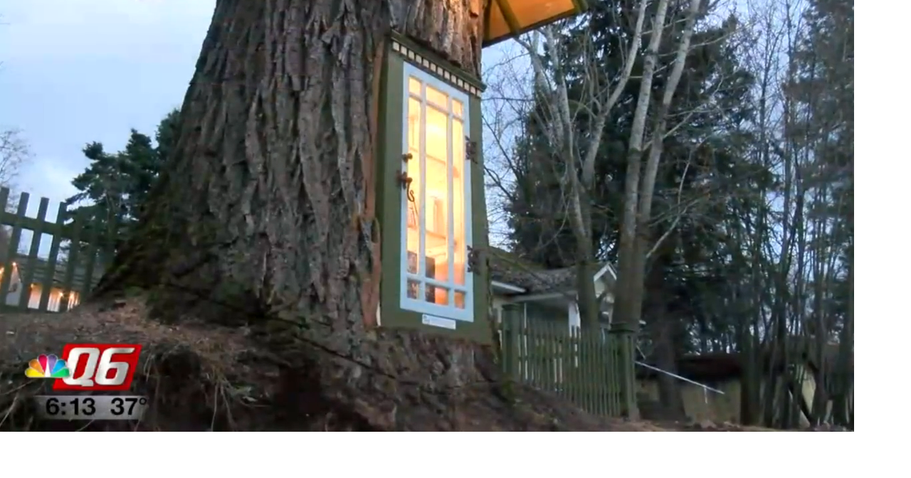 The Giving Tree: Family turns huge stump into an amazing library ...