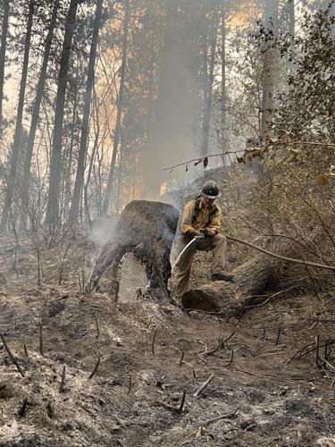 Gray Fire Mop-up | | khq.com