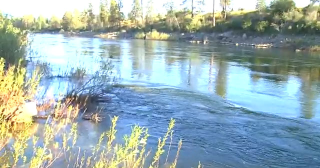 Aggressive beaver forces Spokane Valley fisherman to find a new spot ...