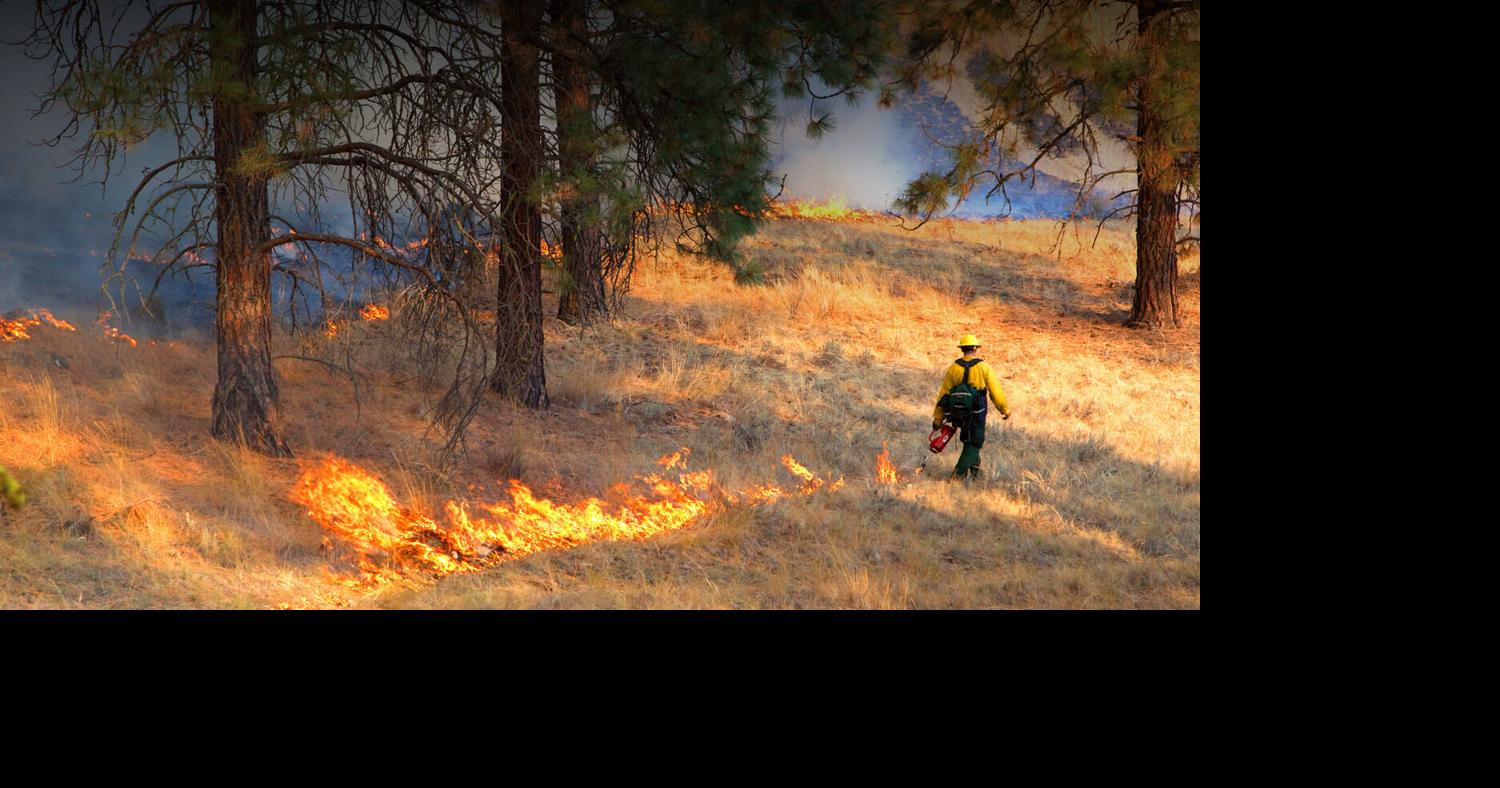 Washington Department of Natural Resources releases new fire prevention ...