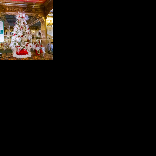 SLIDESHOW: Trees at Christmas Tree Elegance | Spokane News | khq.com