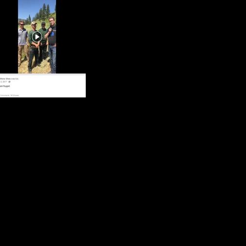 Spokane NAACP releases statement on Rep. Matt Shea's connection to Team ...