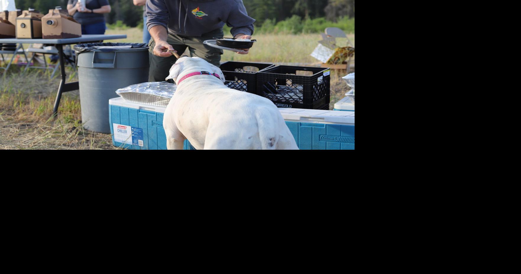 Nettleton fire now 100% contained; Fire crews received therapy dog ...