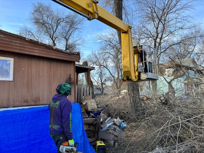 Hazardous tree removed from veteran's yard by community volunteers ...