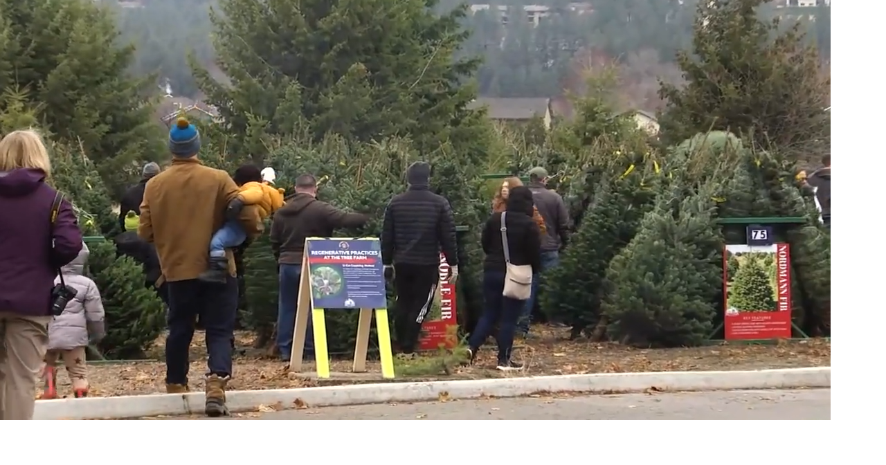 Spokane nonprofit's Christmas tree fundraiser, holiday market supports ...