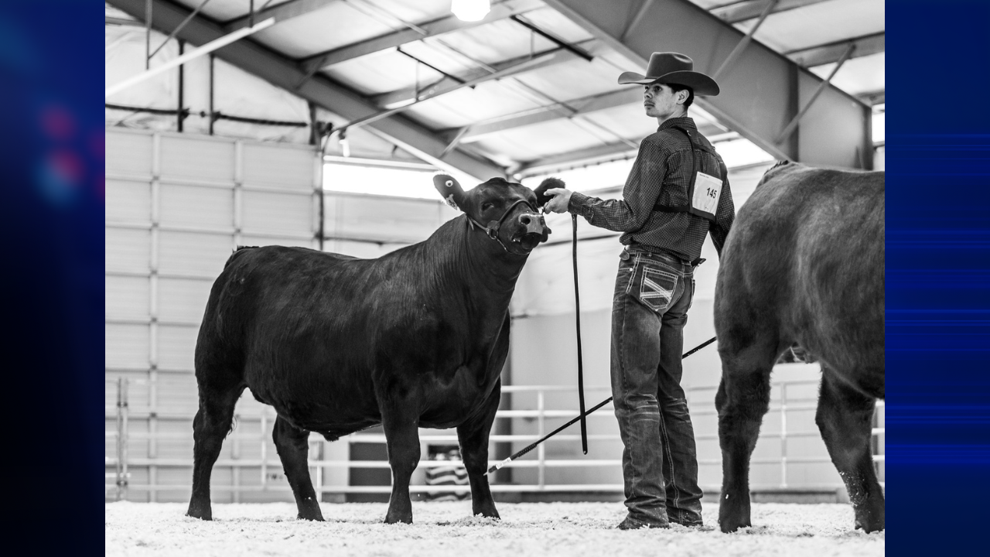 Over 500 exhibitors to compete in 91st Annual Junior Livestock Show of ...