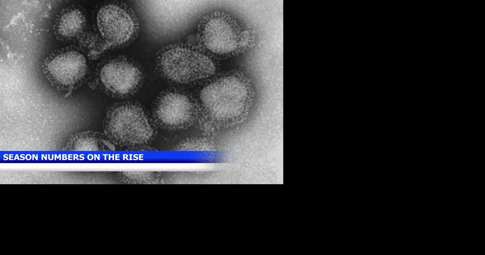 Holiday flu season underway with rise in symptoms, doctor's visits ...