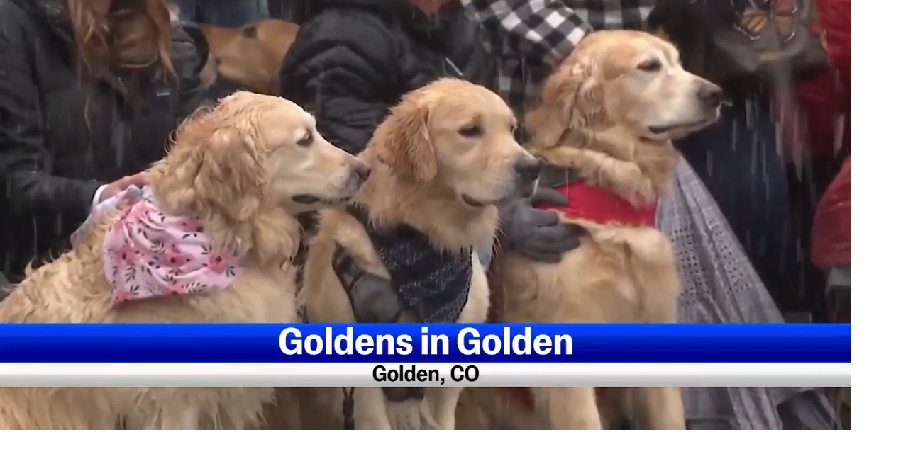 Golden days in Golden, Colorado as residents celebrate golden ...