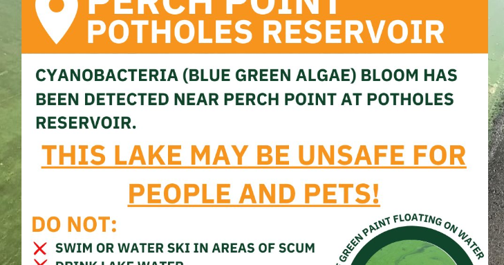 Toxic algae reported at Potholes Reservoir | Spokane News | khq.com
