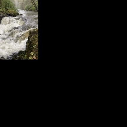 Washington State Department of Ecology proposes new and updated limits ...