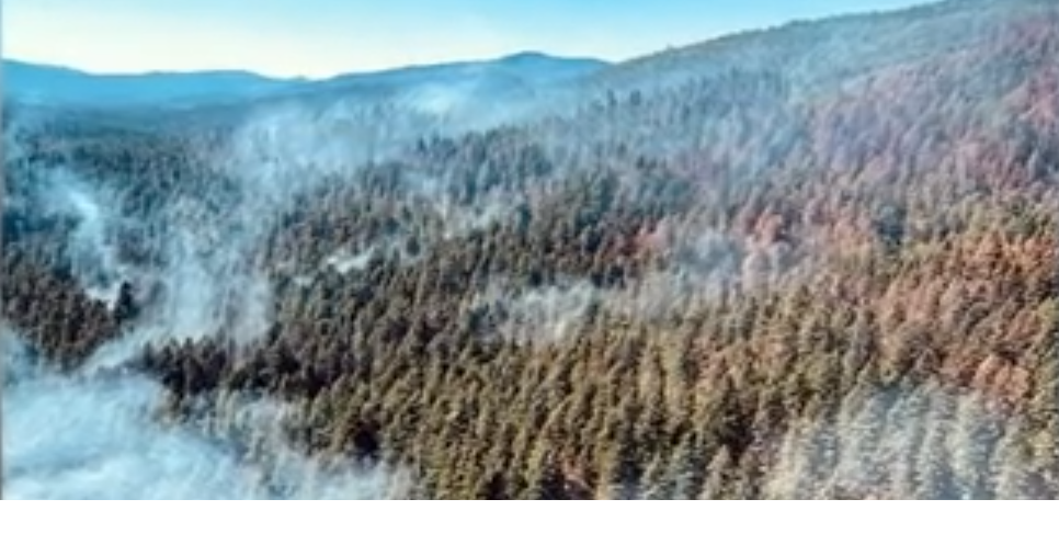 After 1 month, lightning-caused Consalus Fire now 50% contained ...