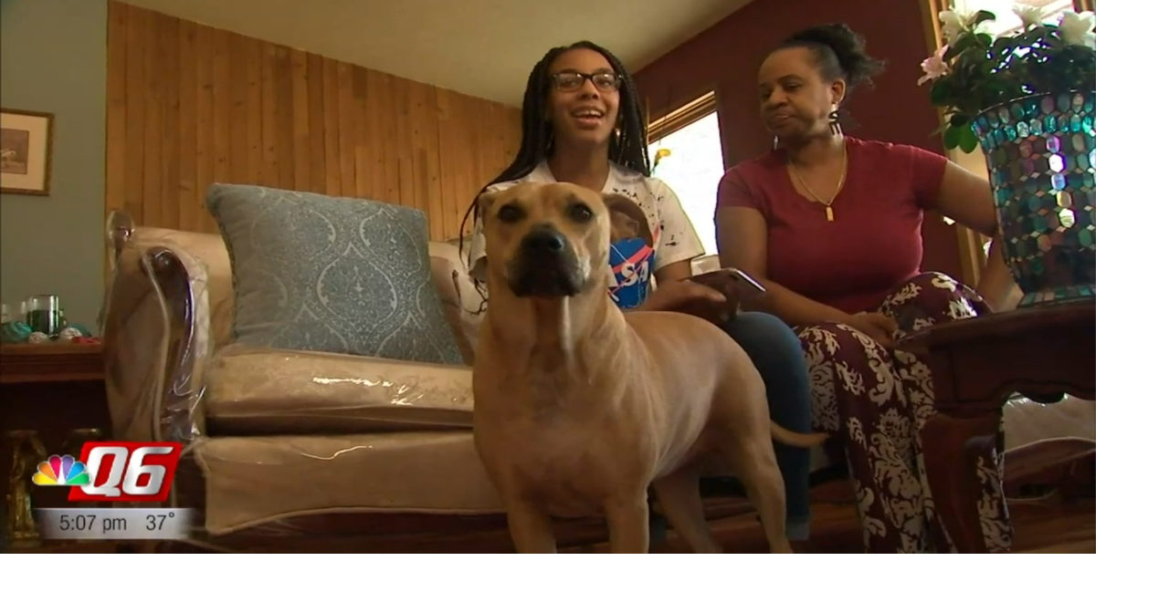 Woman in custody after carjacking, dognapping in East Central Spokane ...