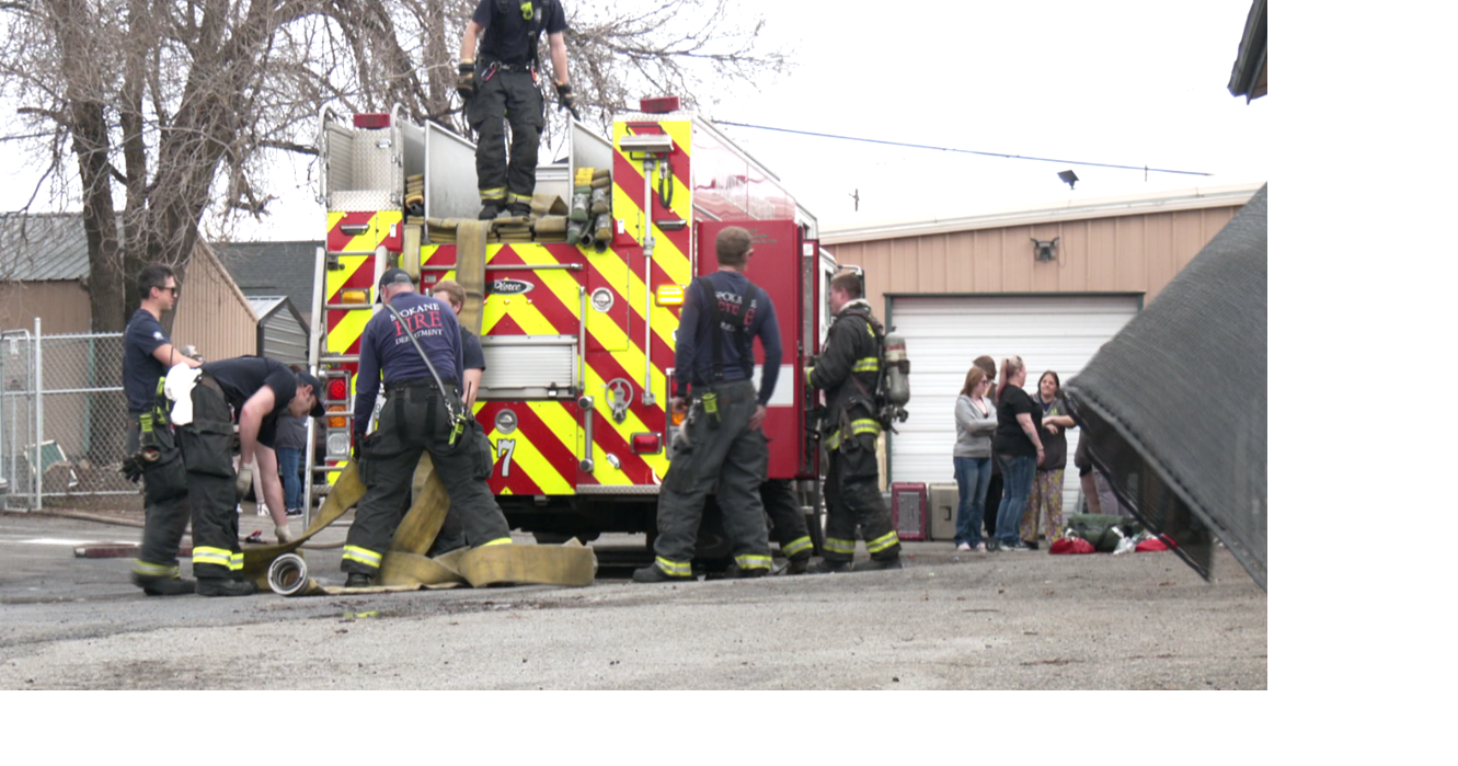 Fire at SpokAnimal kills three puppies | Spokane News | khq.com