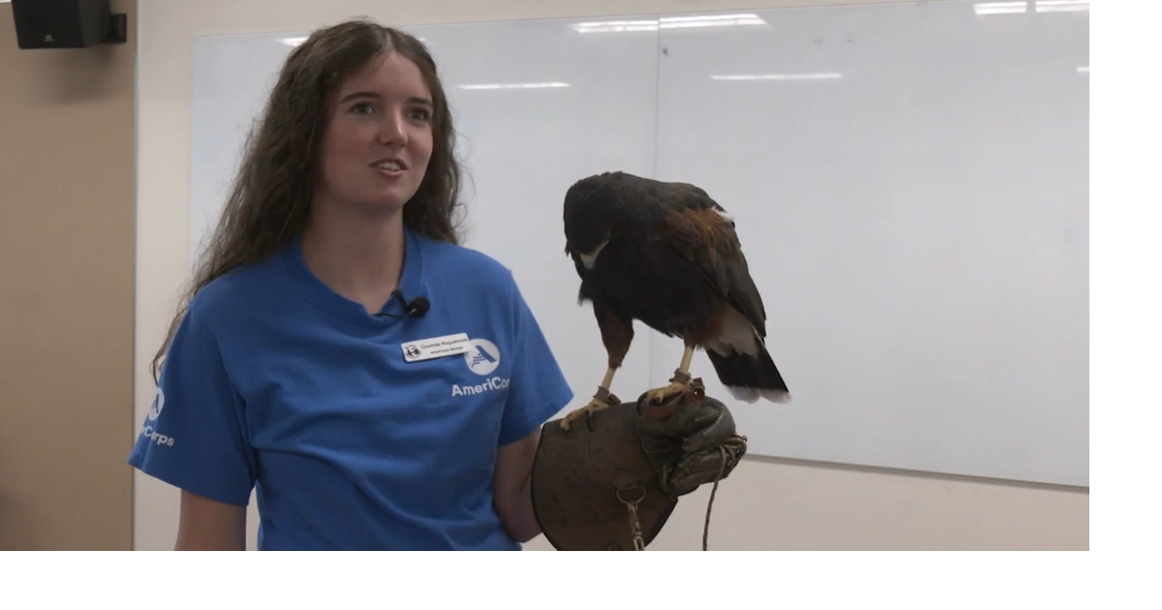 Kids learn about ecology of hawks | STEM | khq.com