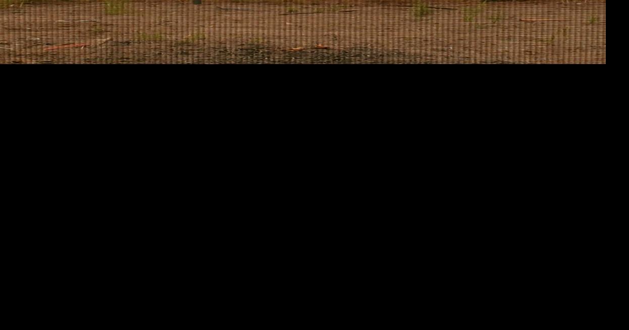 PHOTOS: Smoke is seen across eastern Washington from the Williams Flats ...