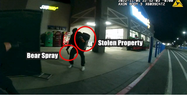 Bodycam footage shows arrest of robbery suspect armed with bear spray ...