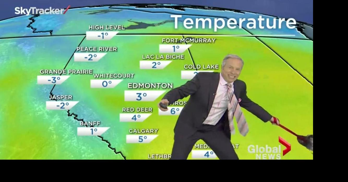 Hot Clicks Viral Video: Weatherman takes on giant dog during live ...