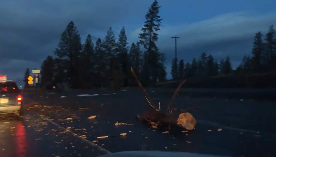 2 dead after crash with tree on Highway 2 near Spokane Airport ...