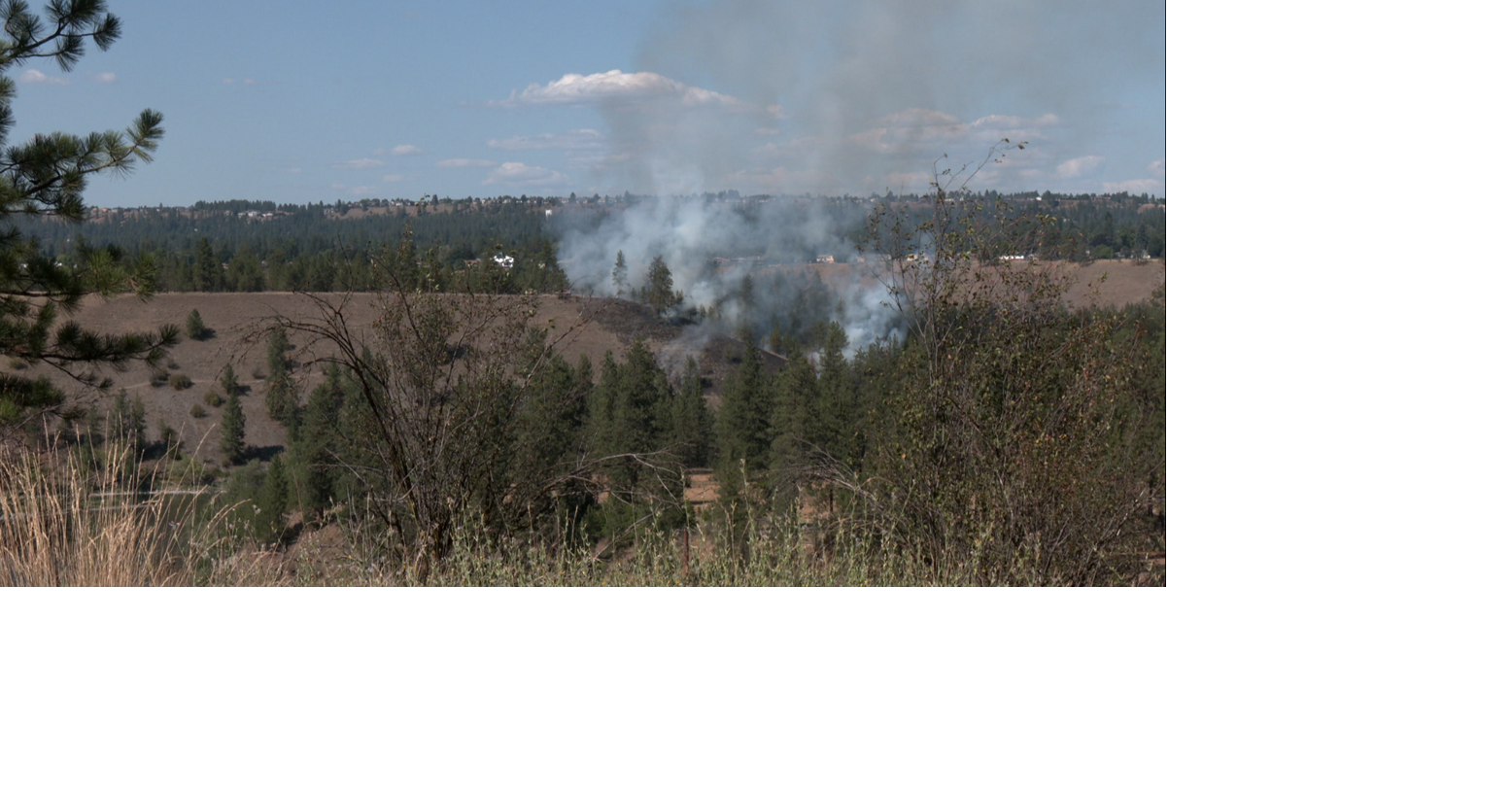 Level 2 evacuations ordered for brush fire near Equestrian Lane in ...