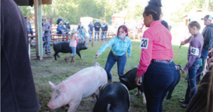 Ferry County Fair kicks off in Republic | Spokane News | khq.com
