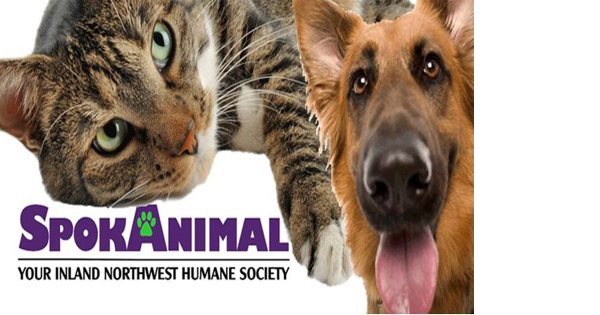 SpokAnimal celebrates $70,000 grant with special adoption event ...