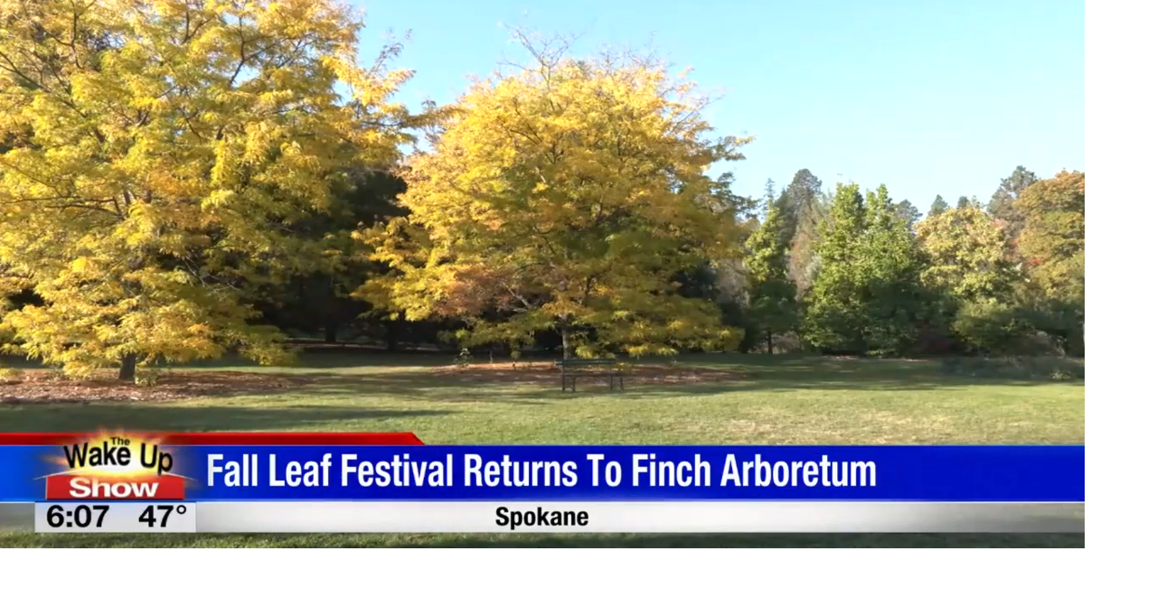Fall Leaf Festival returns to Finch Arboretum after 2 year hiatus ...