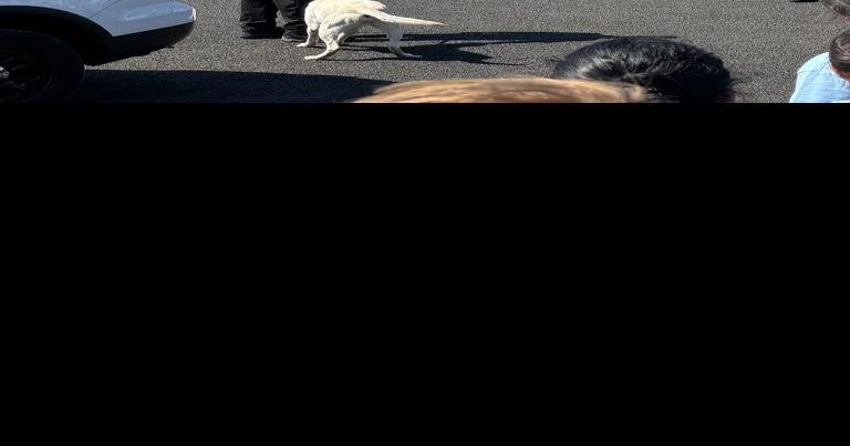 Washington State Patrol Law Enforcement Explorers Academy photos ...