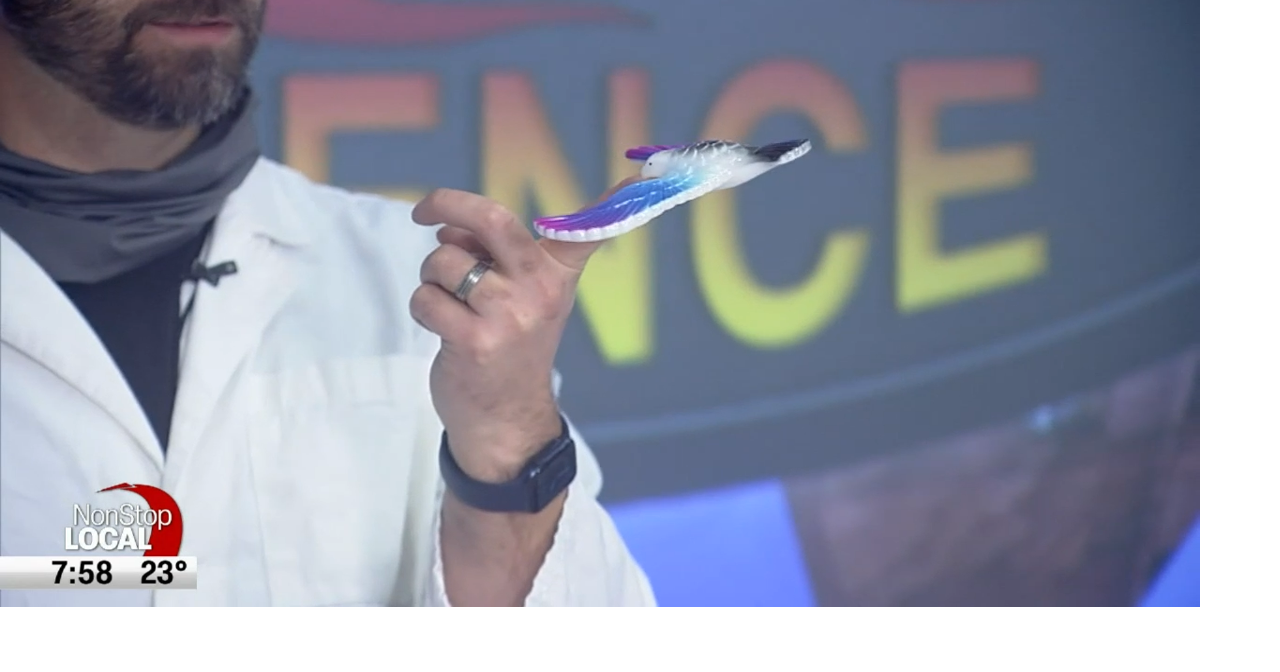 Extreme Science: Attempting to 'defy' gravity | Extreme Science | khq.com