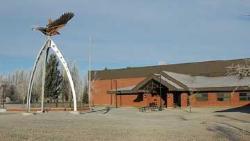 Michael Anderson Elementary Wins Book Drive School Challenge ...