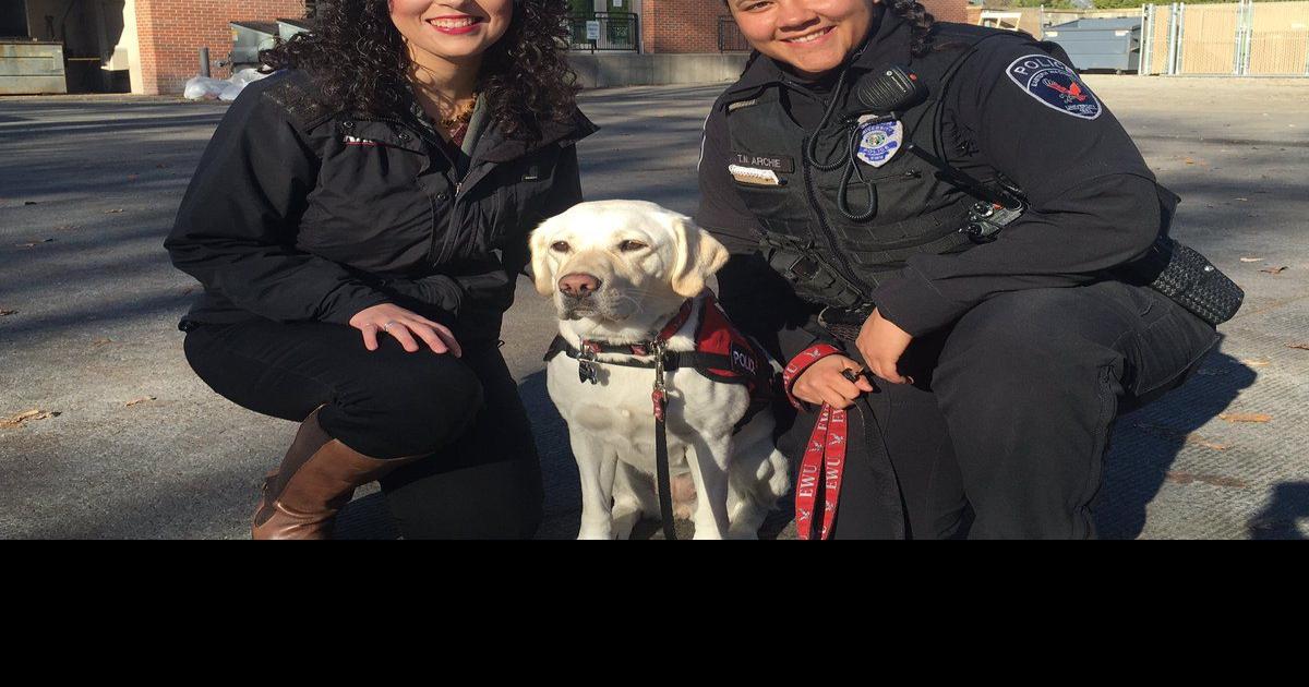 EWU police get K9 officer to help victims of trauma | News | khq.com