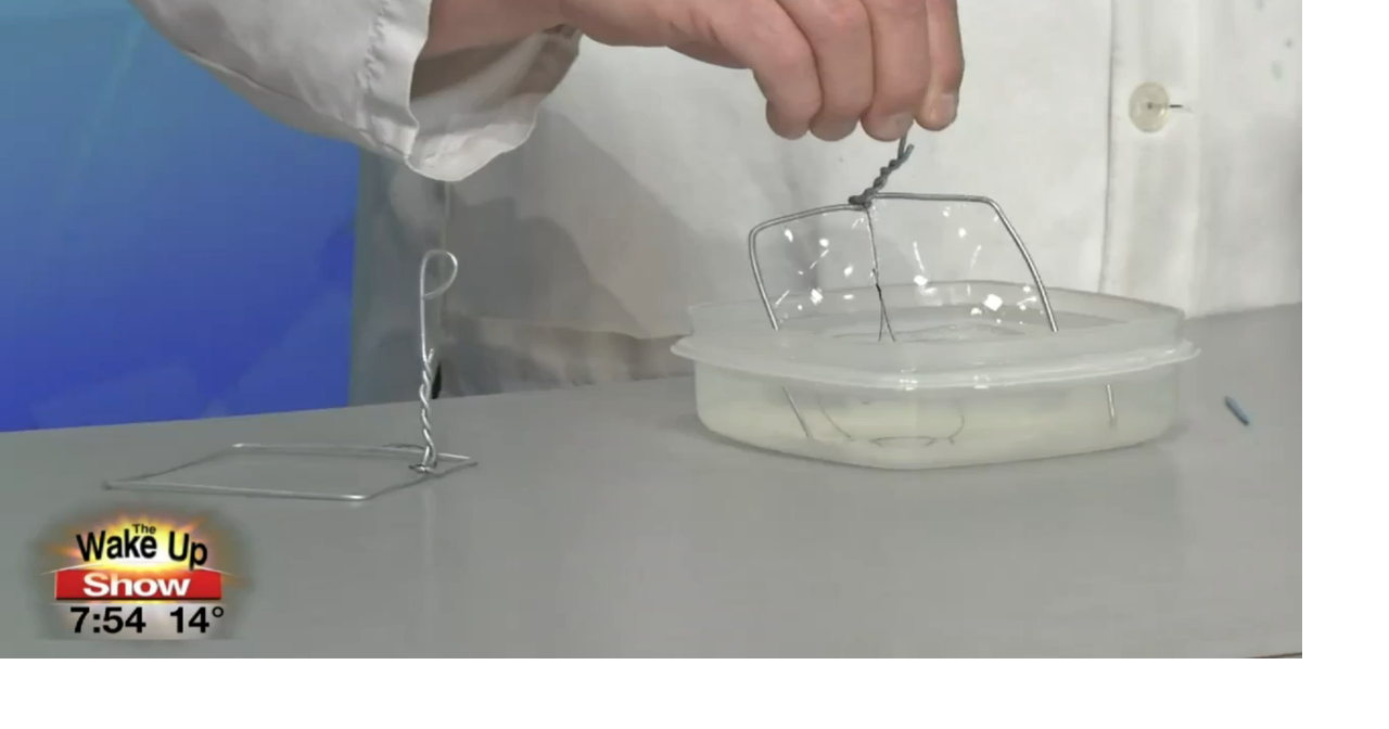 Extreme Science with Radical Rick: Surface Tension | Spokane News | khq.com
