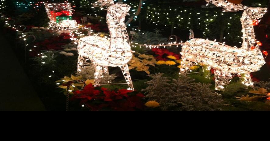 FUN FOR THE WHOLE FAMILY: Holiday Lights At Manito Park's Gaiser ...