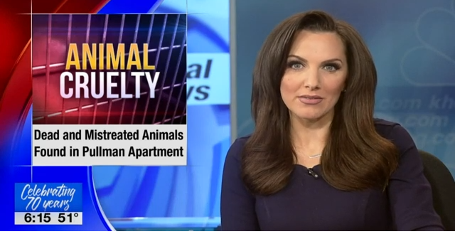 Two people under investigation for animal cruelty, neglect after ...