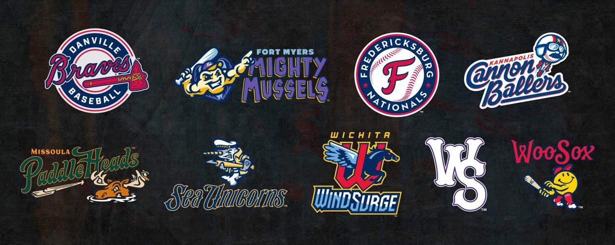 Missoula PaddleHeads compete for MiLB's Best New Logo | Regional | khq.com