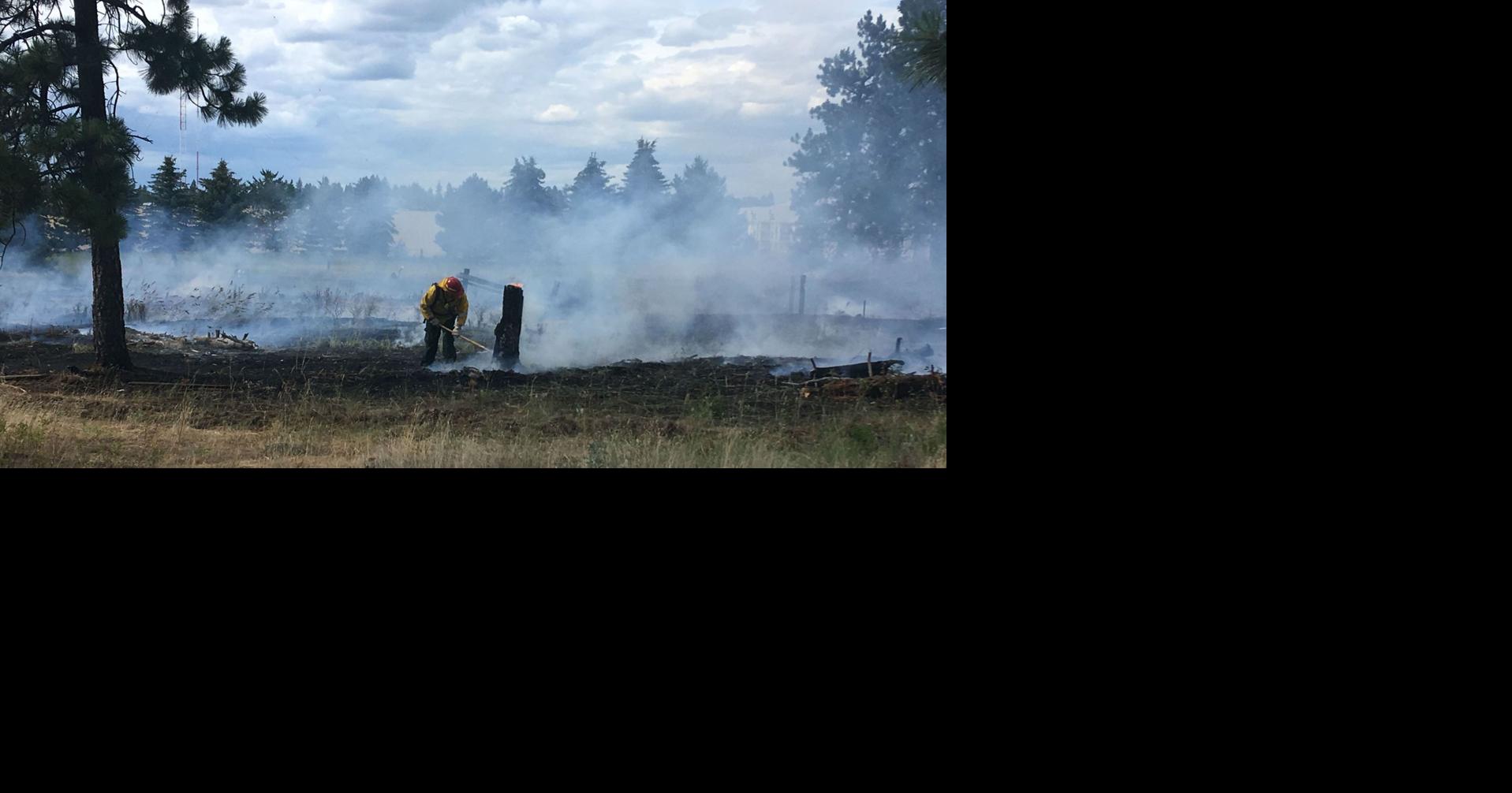 Crews extinguish brush fire near 44th and Regal | Spokane News | khq.com