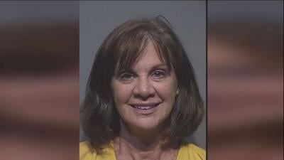 Lori Isenberg pleads guilty to wire fraud, federal program theft ...