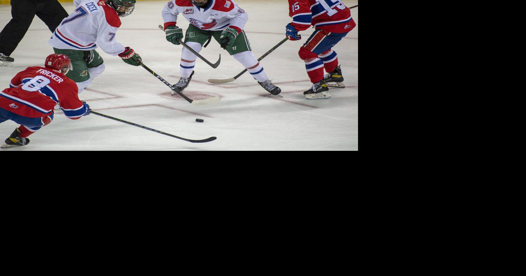 USA Hockey will mandate neck laceration protection for players under 18 ...