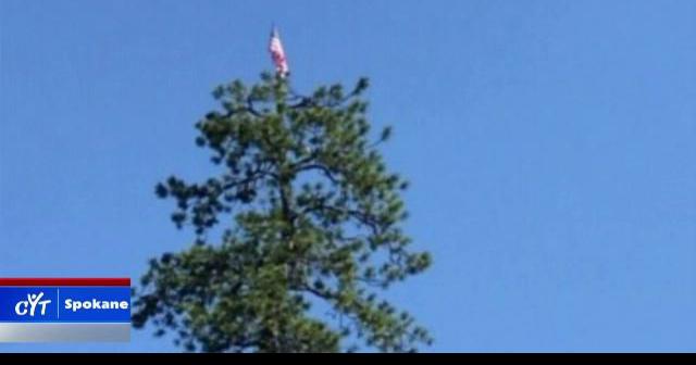 Flag Back Up On 4th Of July Pass Tree Spokane News