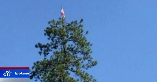 Flag Back Up On 4th Of July Pass Tree Spokane News
