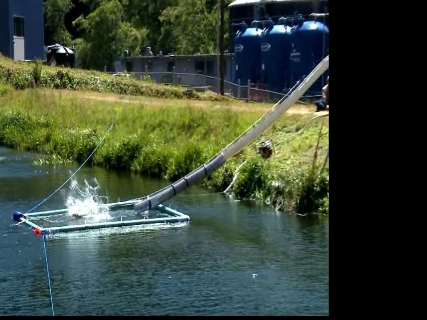 Viral video explained: the salmon cannon | News | khq.com