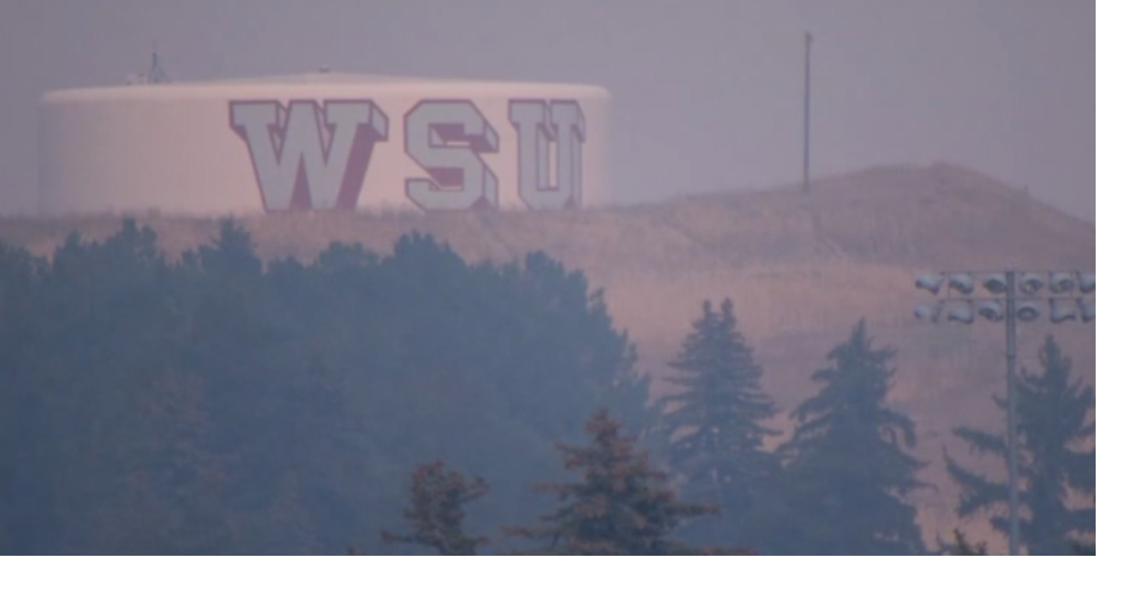 WSU fraternity on probation for hazing investigation | Spokane News ...