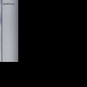 batman roller coaster disaster