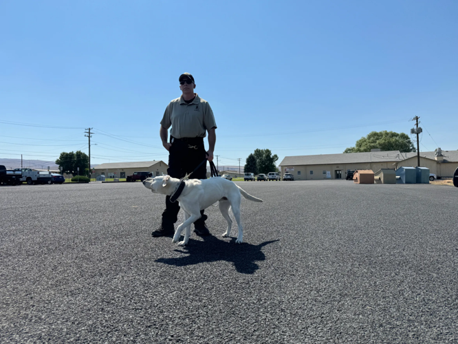 Washington State Patrol Law Enforcement Explorers Academy photos ...