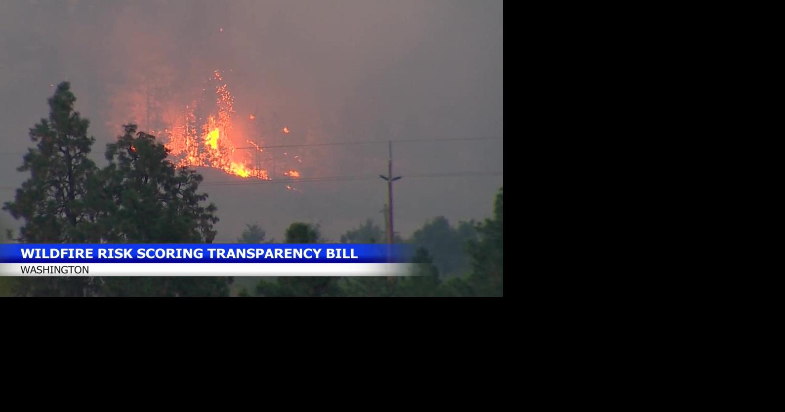 Stevens County fire chief pushes for wildfire insurance accountability ...