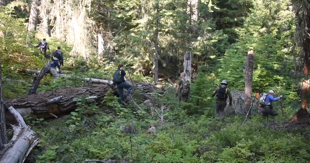 Search for Travis Decker yields no human bones, FBI confirms | Spokane ...